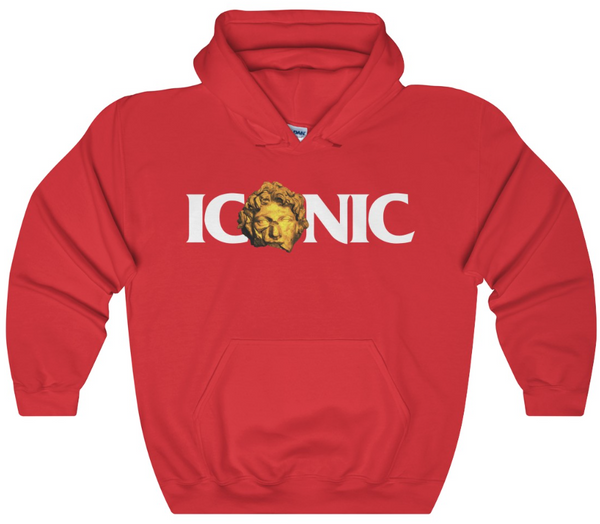 Iconic Hoodie – Urban Legend Clothing
